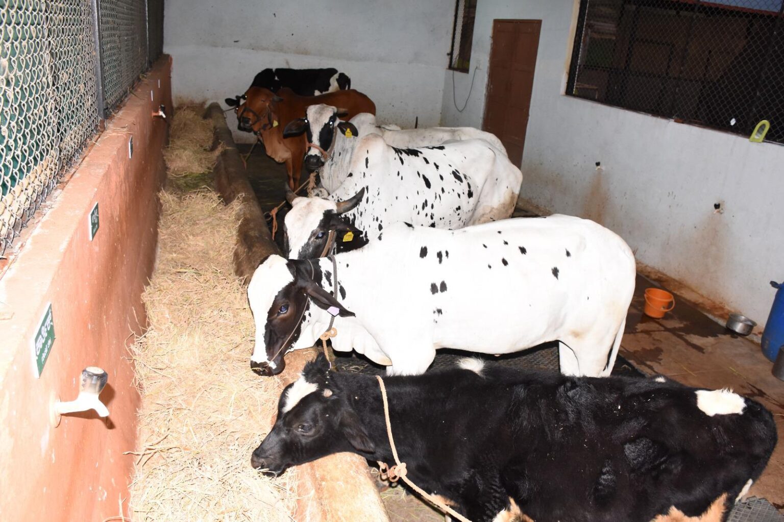 Centre For Research, Innovation and Evaluation – MGRDPRU